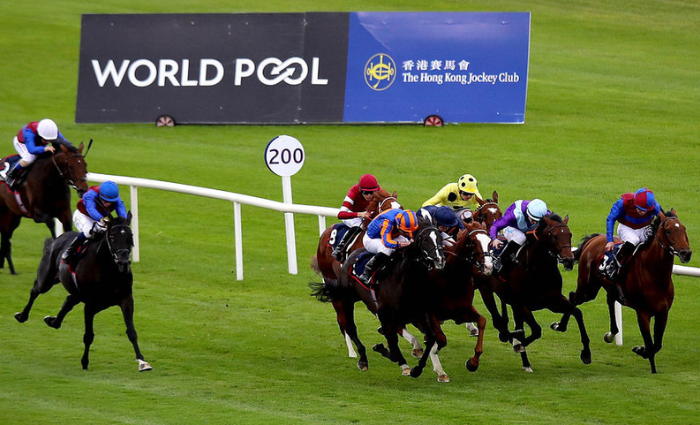 World Pool | Leopardstown.com