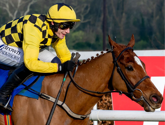 Dublin Racing Festival | 1st & 2nd February 2025 | Home of Irish Racing in Dublin | Leopardstown.com